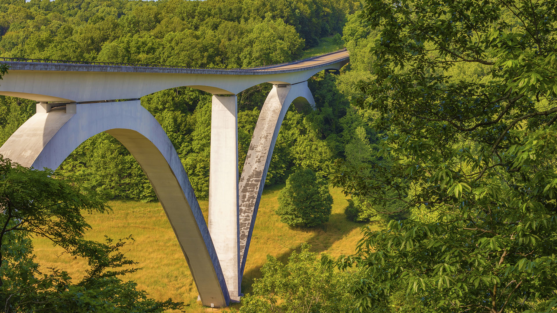 Explore America's Scenic National Parkways: Nature Awaits