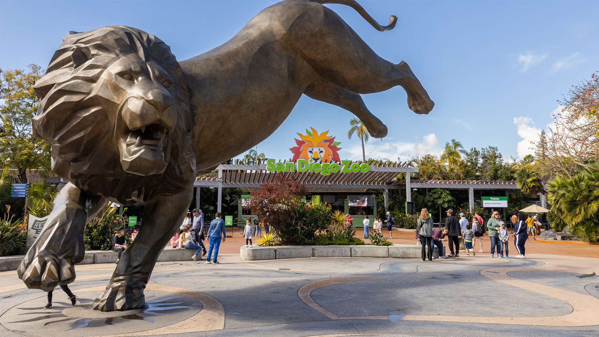 Discover the Best Zoos in the USA for Family Adventures
